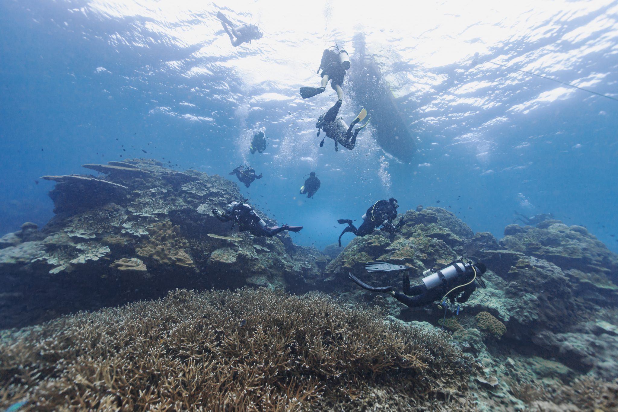 Exploring the Beautiful Terengganu: Diving Adventures on Tenggol Island ...